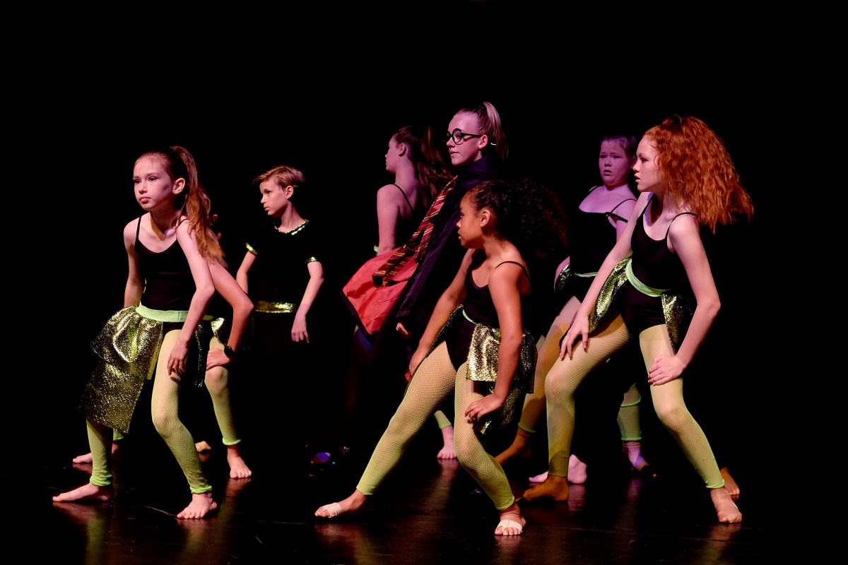 Dansschool DD Dance Studio – Wim Uijtdewilligen