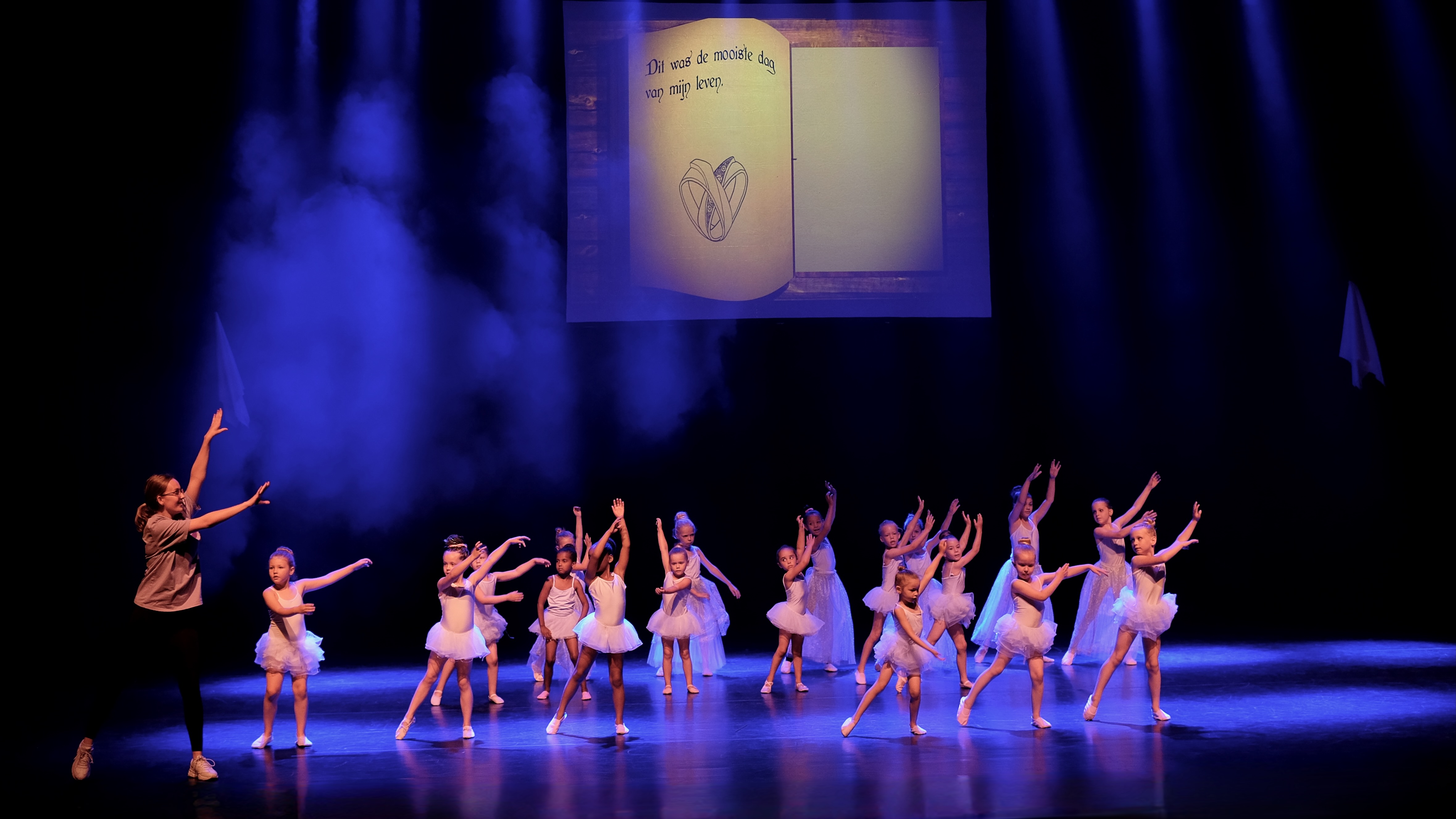 Dansschool DD Dance Studio – Wim Uijtdewilligen