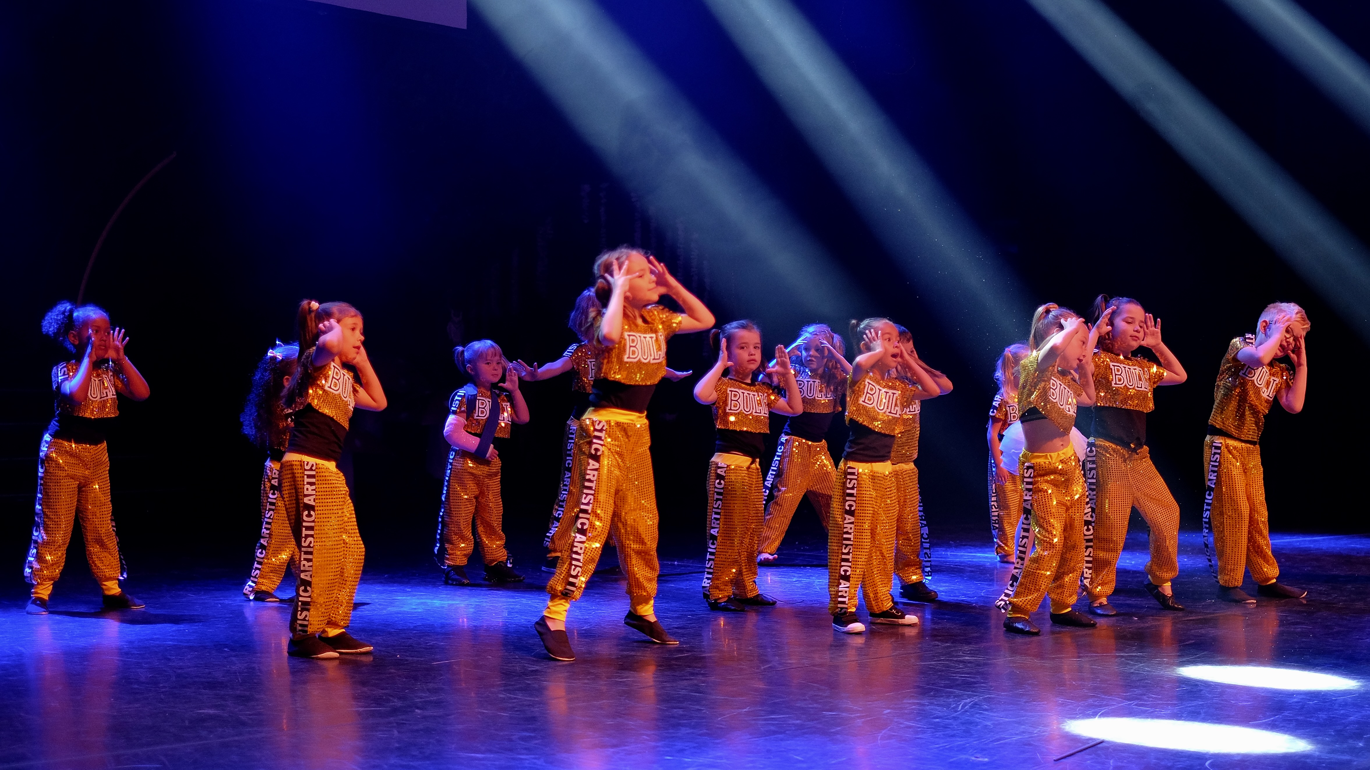 Dansschool DD Dance Studio – Wim Uijtdewilligen